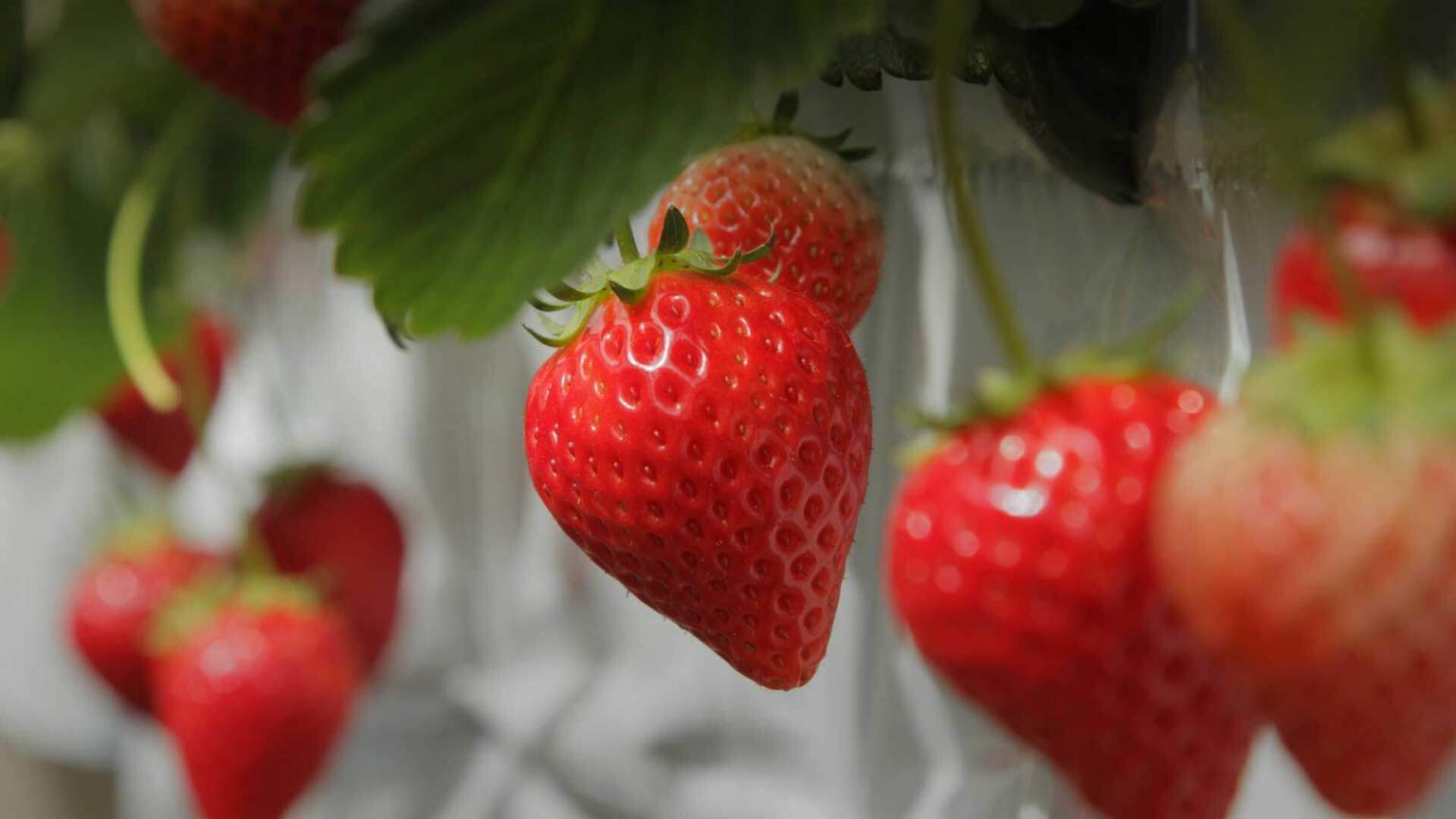 Freshware Update - new user tools and mobile tablet apps boost ...