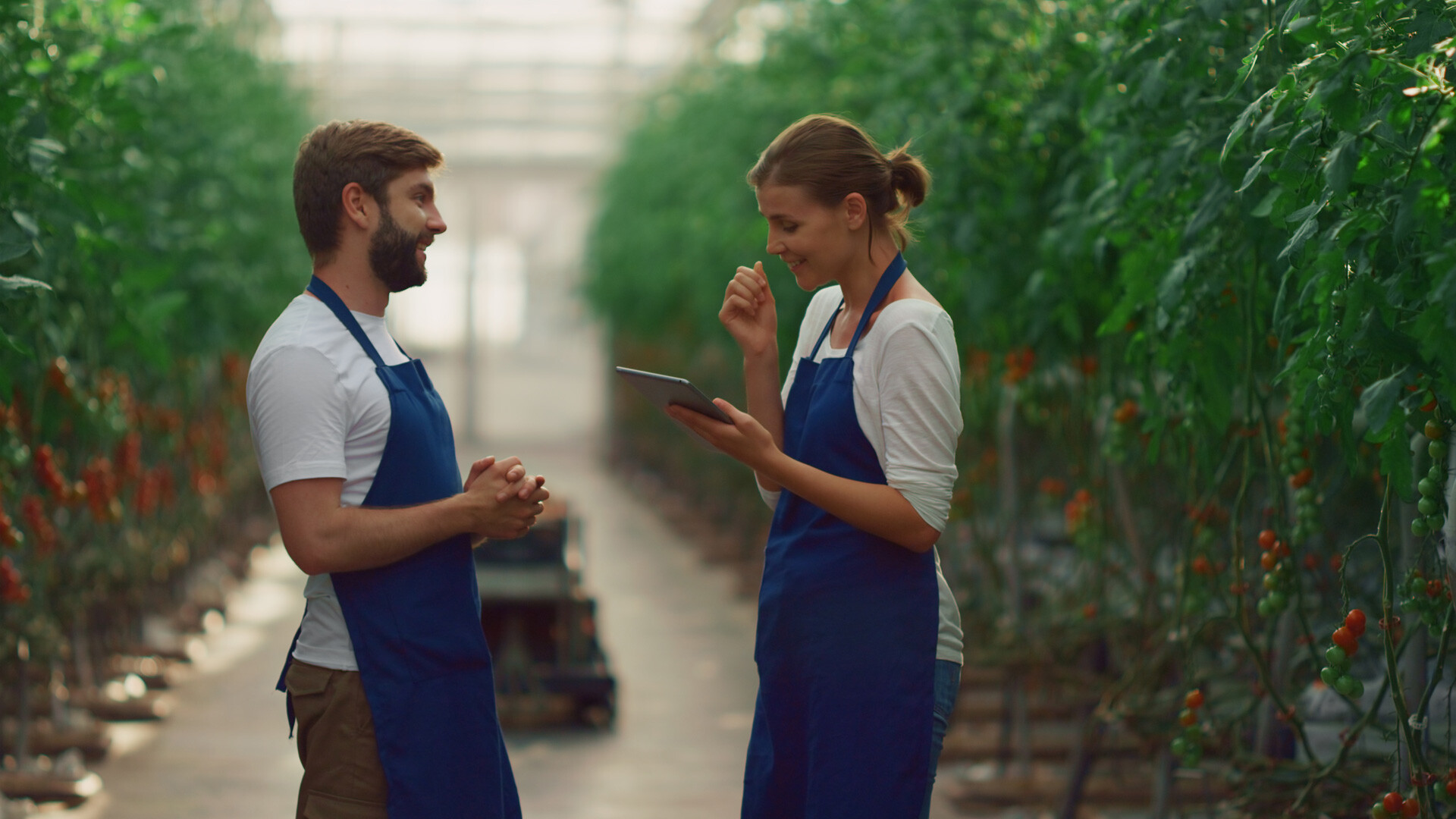 Success Stories - Home - Affinitus Group